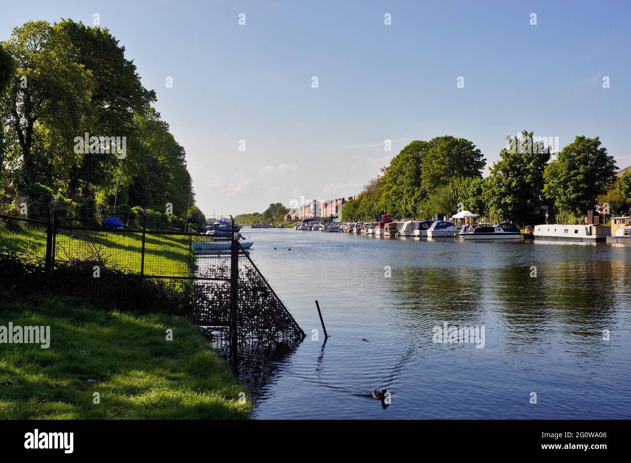 The river Witham in late spring with boats moored on the Gateway marina ...