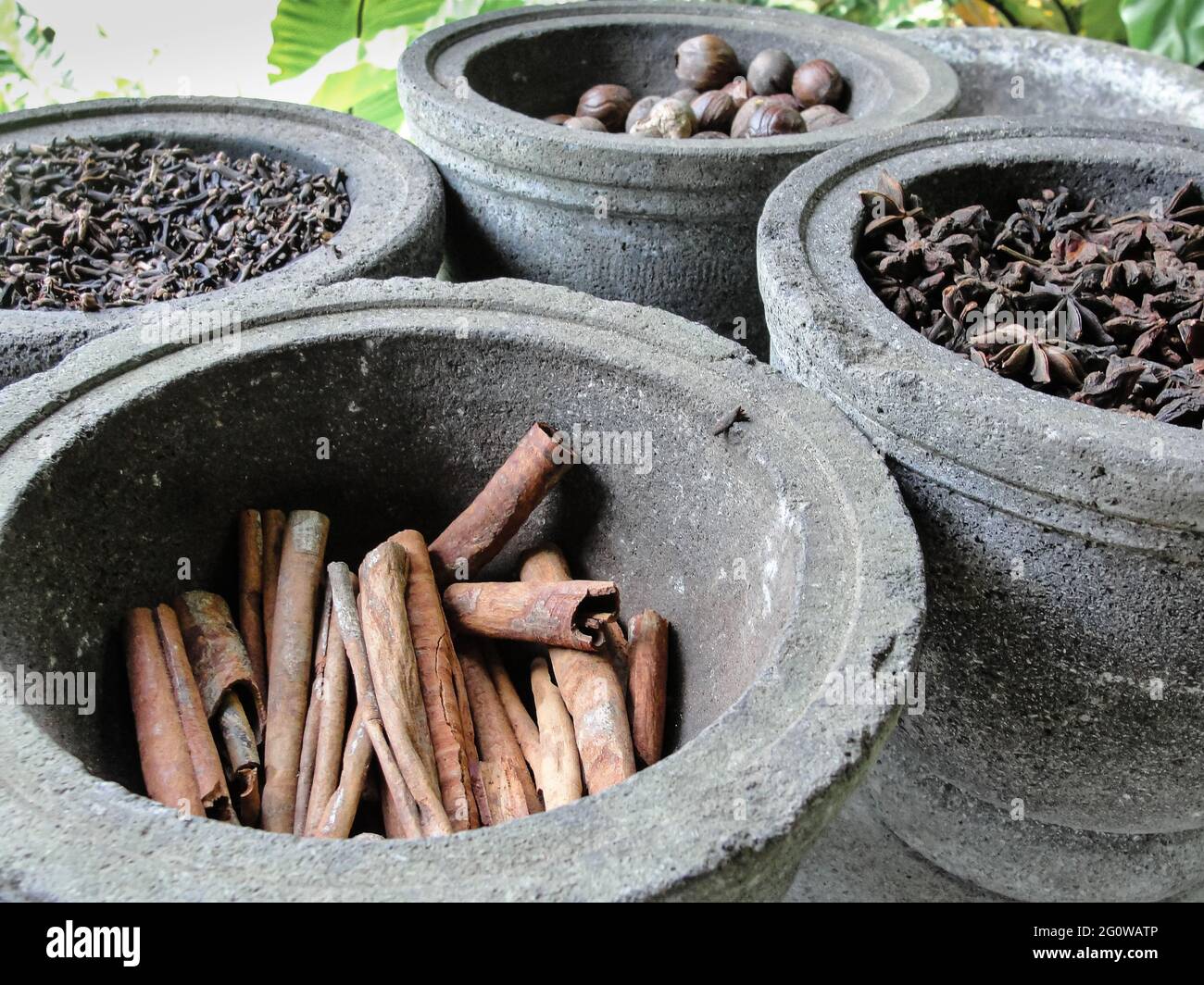 Star clove hi-res stock photography and images - Alamy