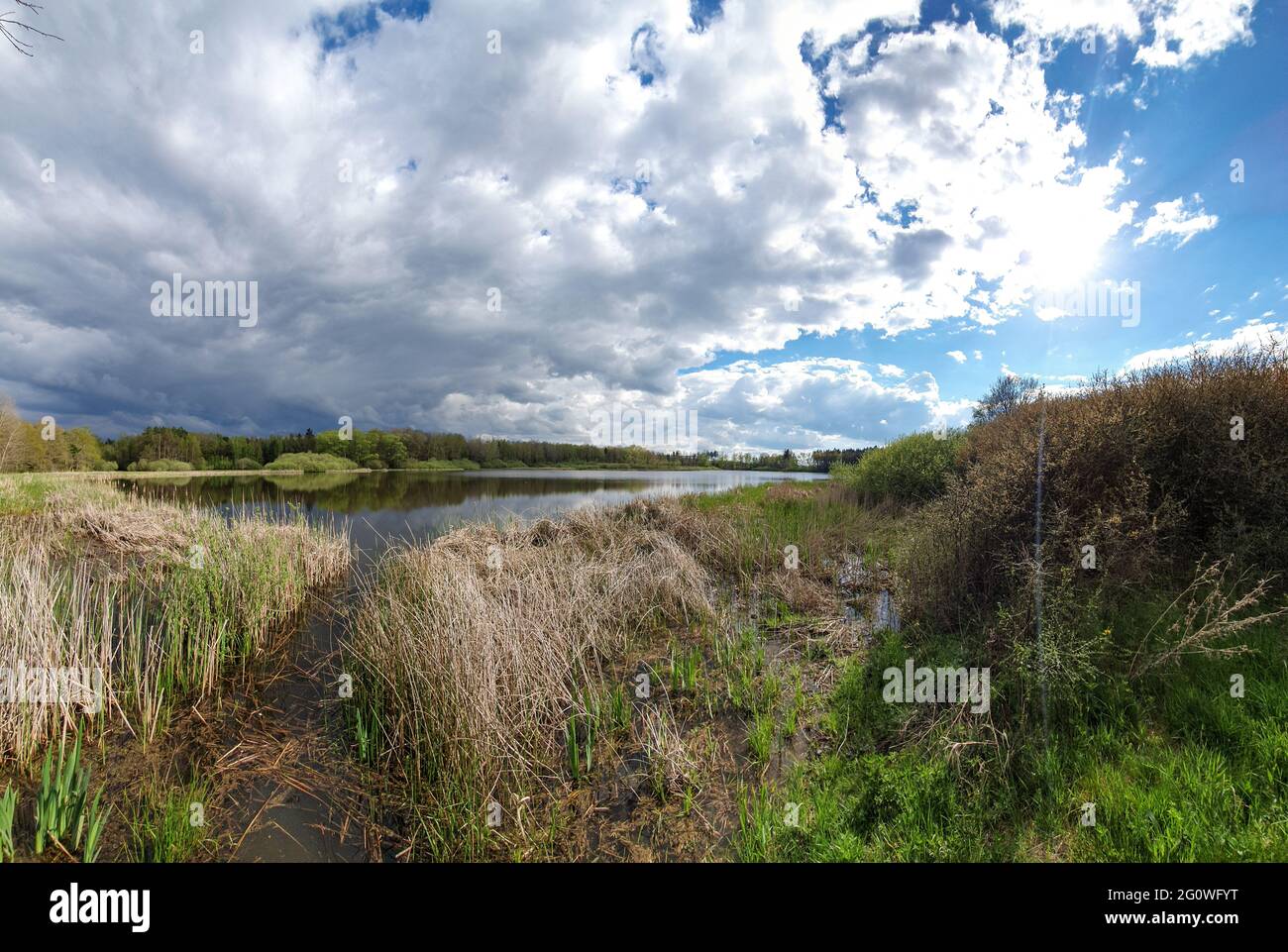 Panoramic landscape view of rolling hills, forests, and fields under ...