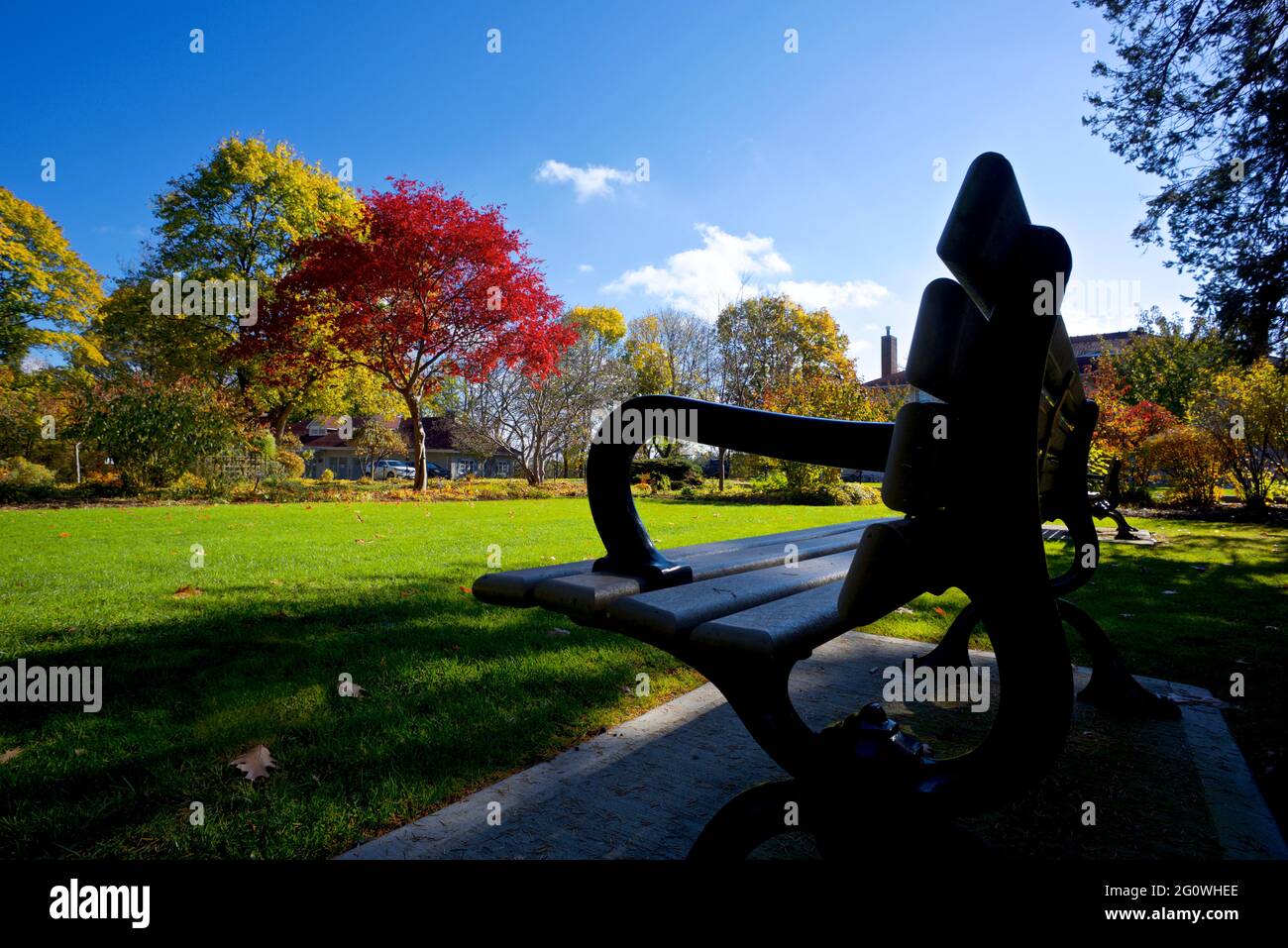 Park bench silhouette hi-res stock photography and images - Alamy