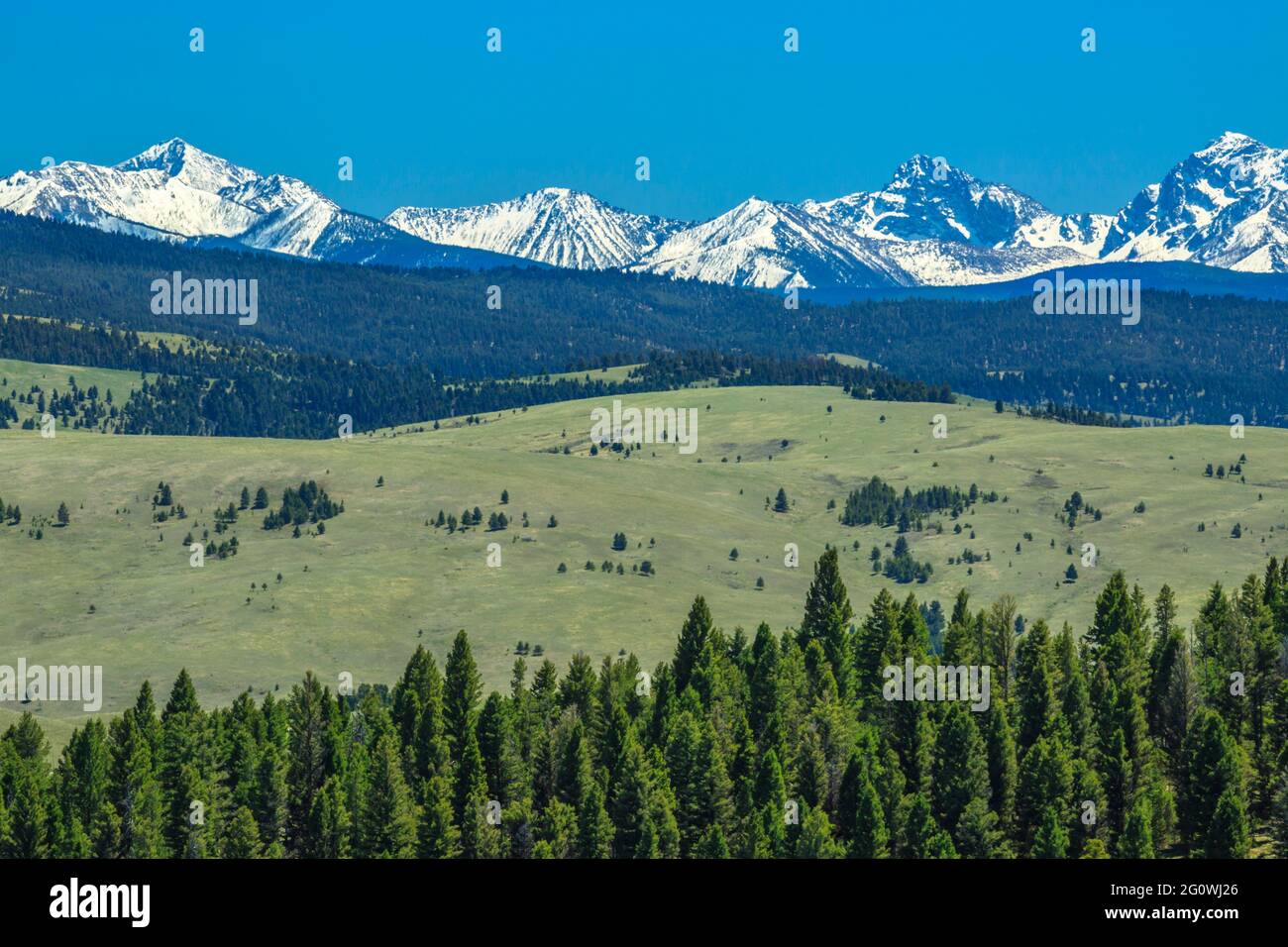 peaks of the anaconda range above foothills and meadows near ...