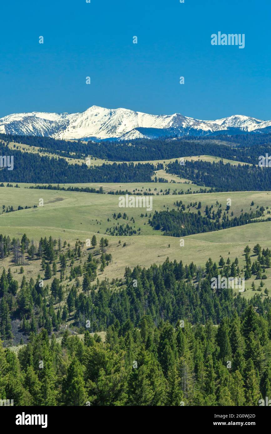 Anaconda range hi-res stock photography and images - Alamy