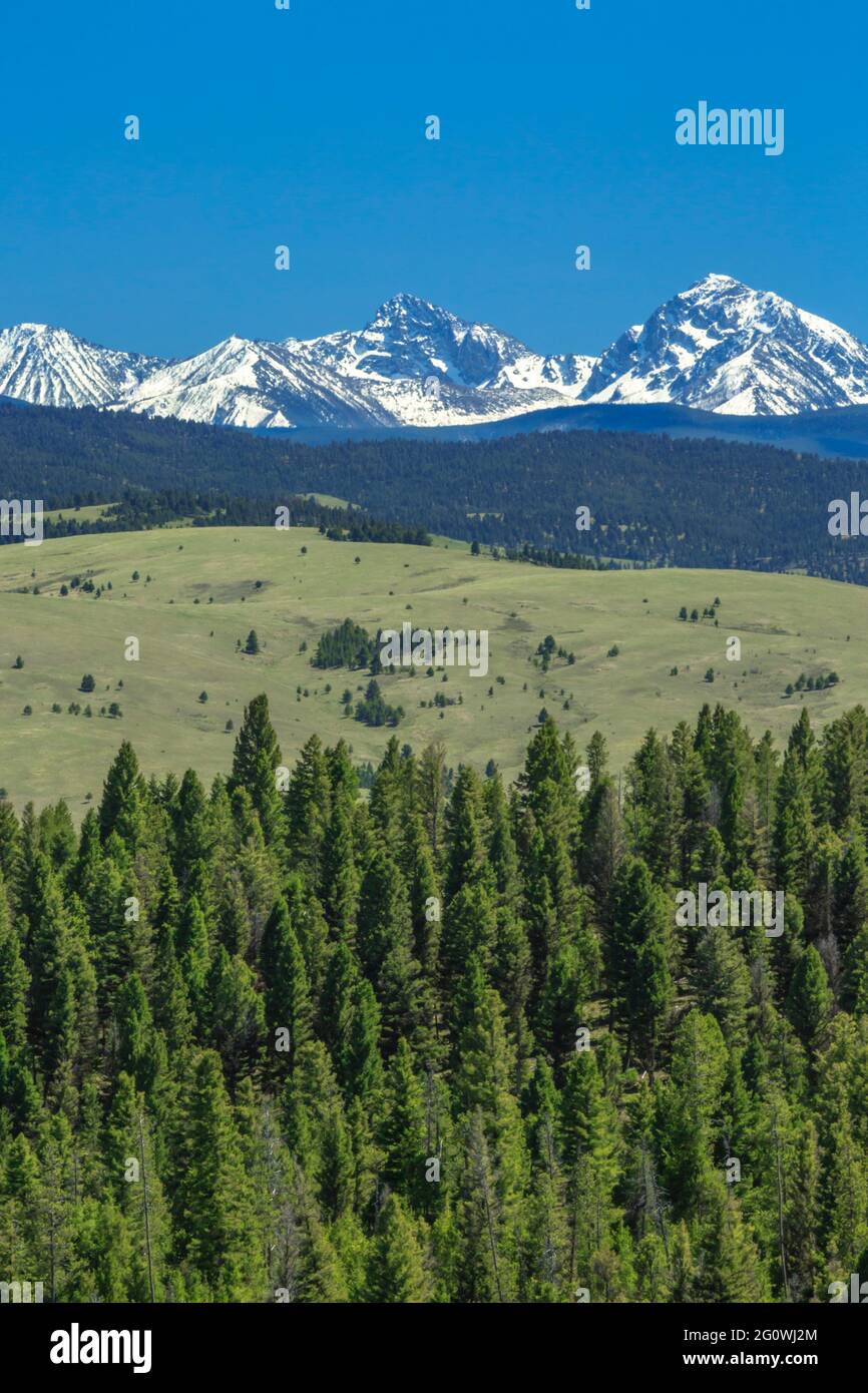 peaks of the anaconda range above foothills and meadows near ...