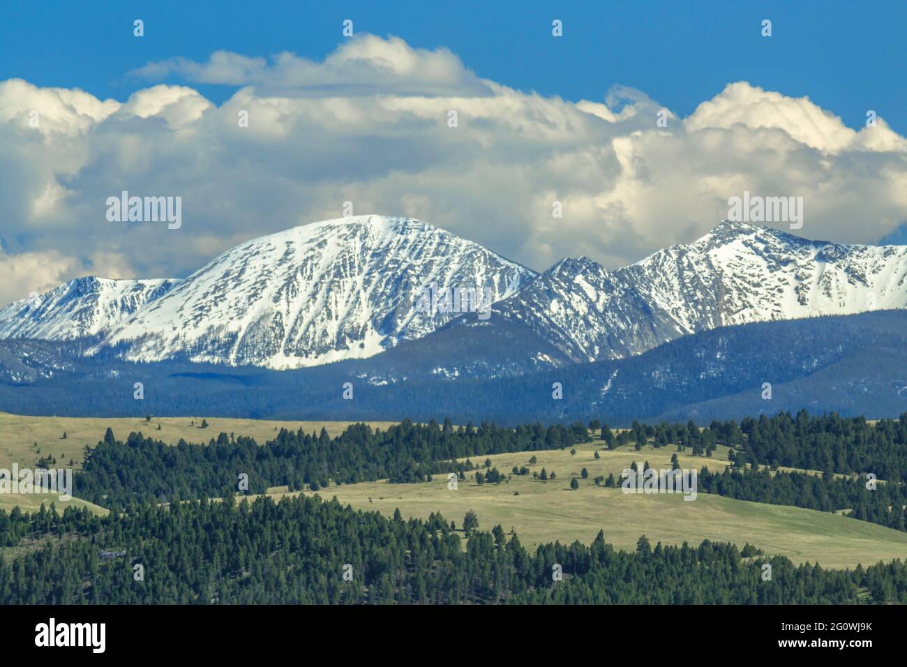 peaks of the anaconda range above foothills and meadows near ...