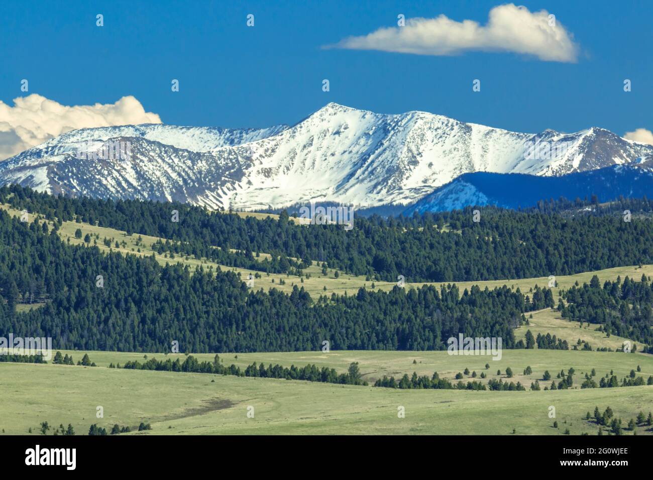 Anaconda range hi-res stock photography and images - Alamy