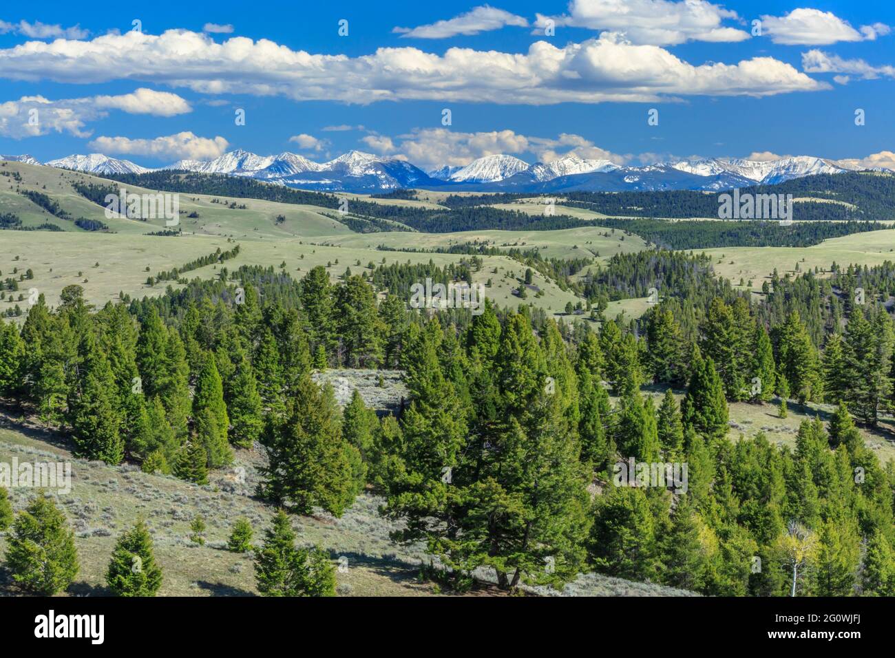 Anaconda Range High Resolution Stock Photography and Images - Alamy