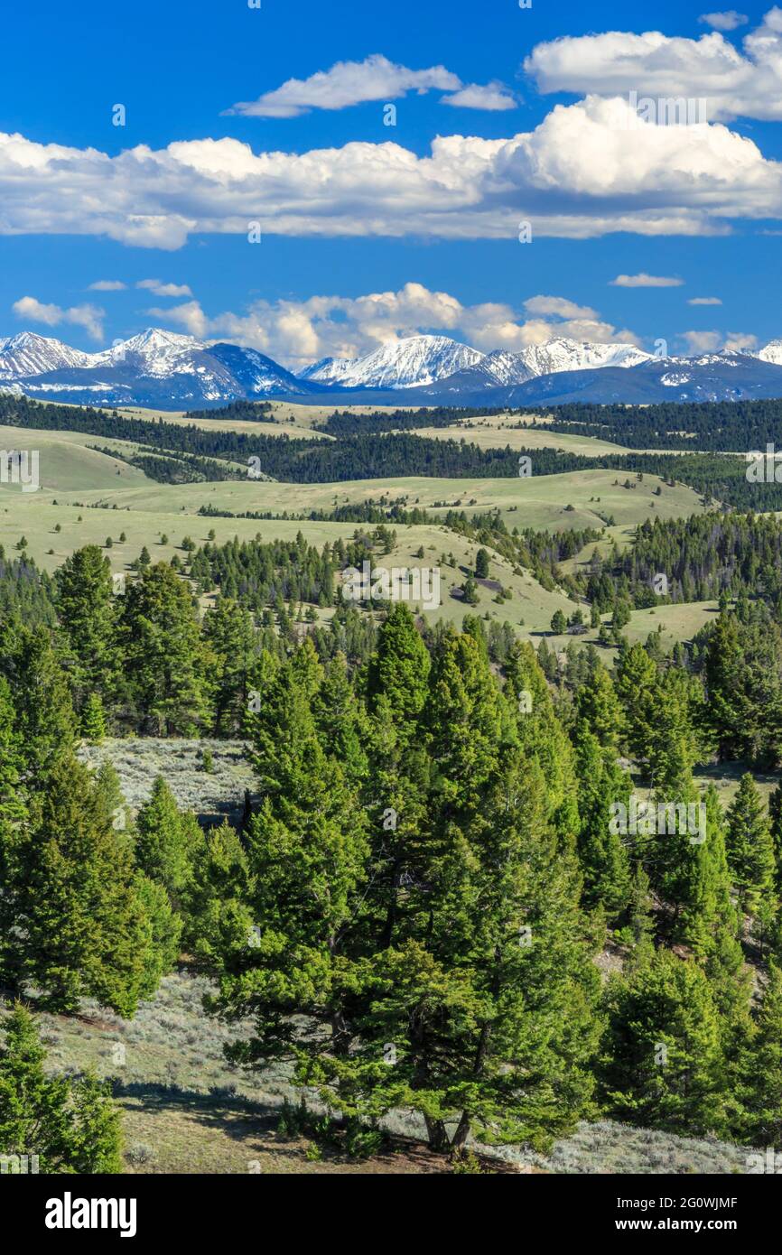 Anaconda range hi-res stock photography and images - Alamy