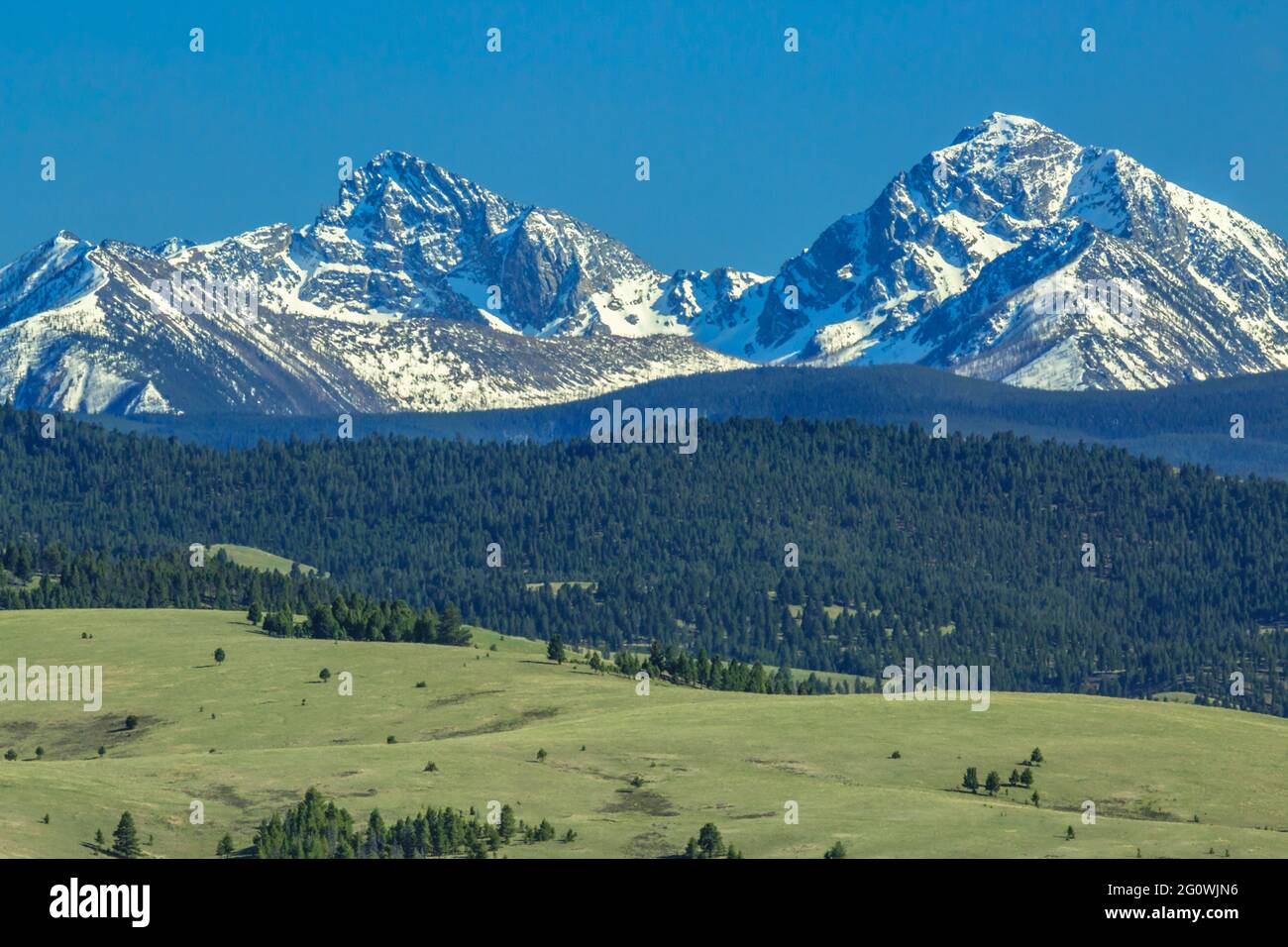 peaks of the anaconda range above foothills and meadows near ...