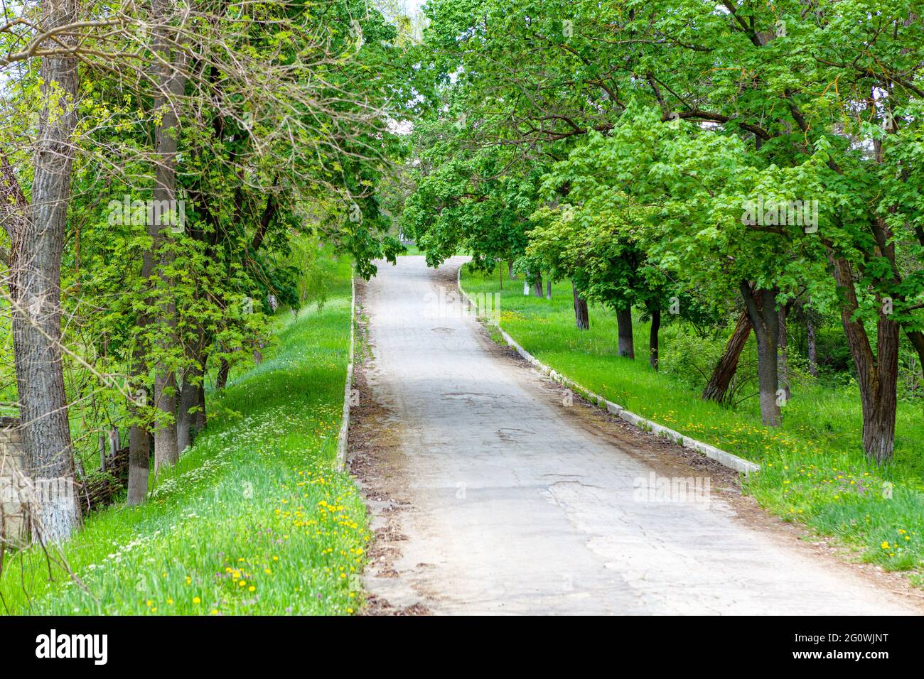 Sidewalk between trees in street hi-res stock photography and images ...