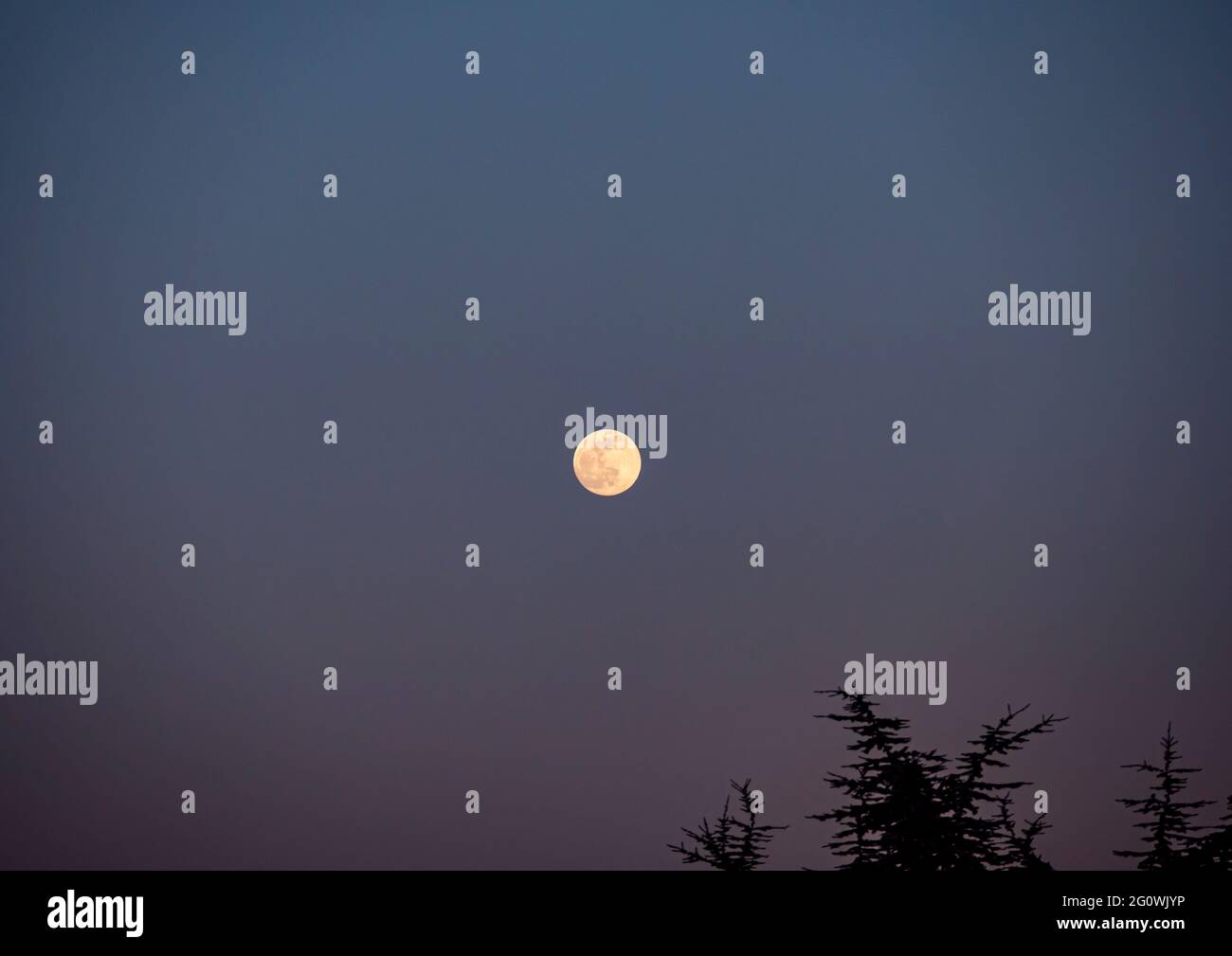 natural big full moon at clear sky Stock Photo - Alamy