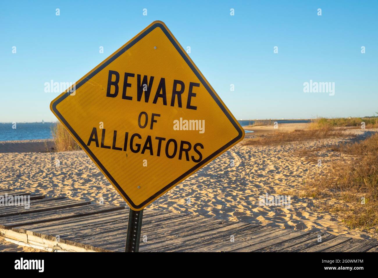 A "Beware of Alligators" sign stands at the edge of a beach in Daphne ...