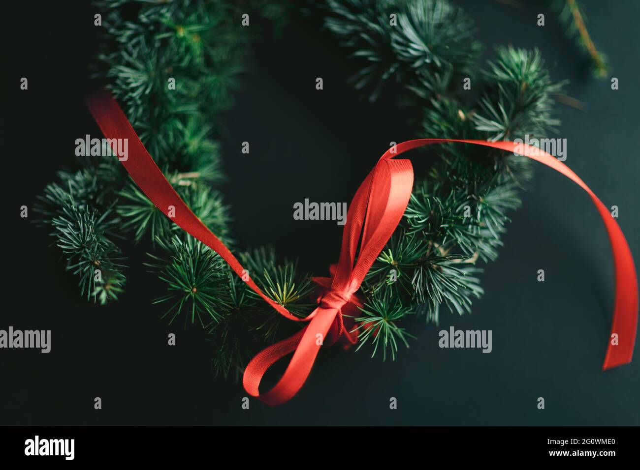 Red pine tree hi-res stock photography and images - Alamy