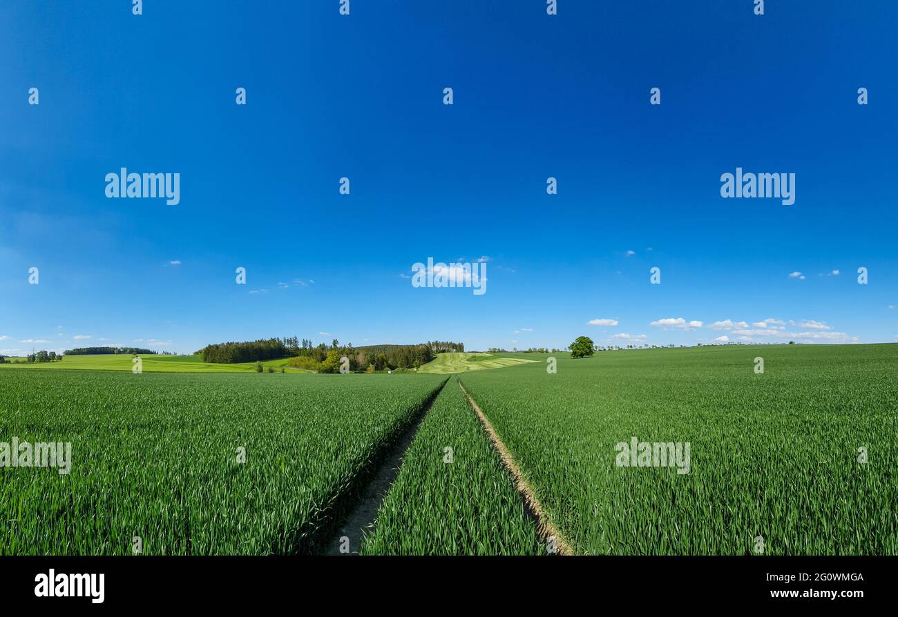 Panoramic landscape view of rolling hills, forests, and fields under ...