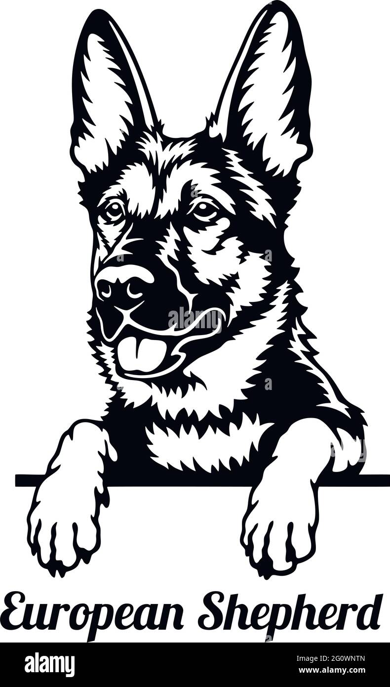 Shepherd vector vectors hi-res stock photography and images - Alamy