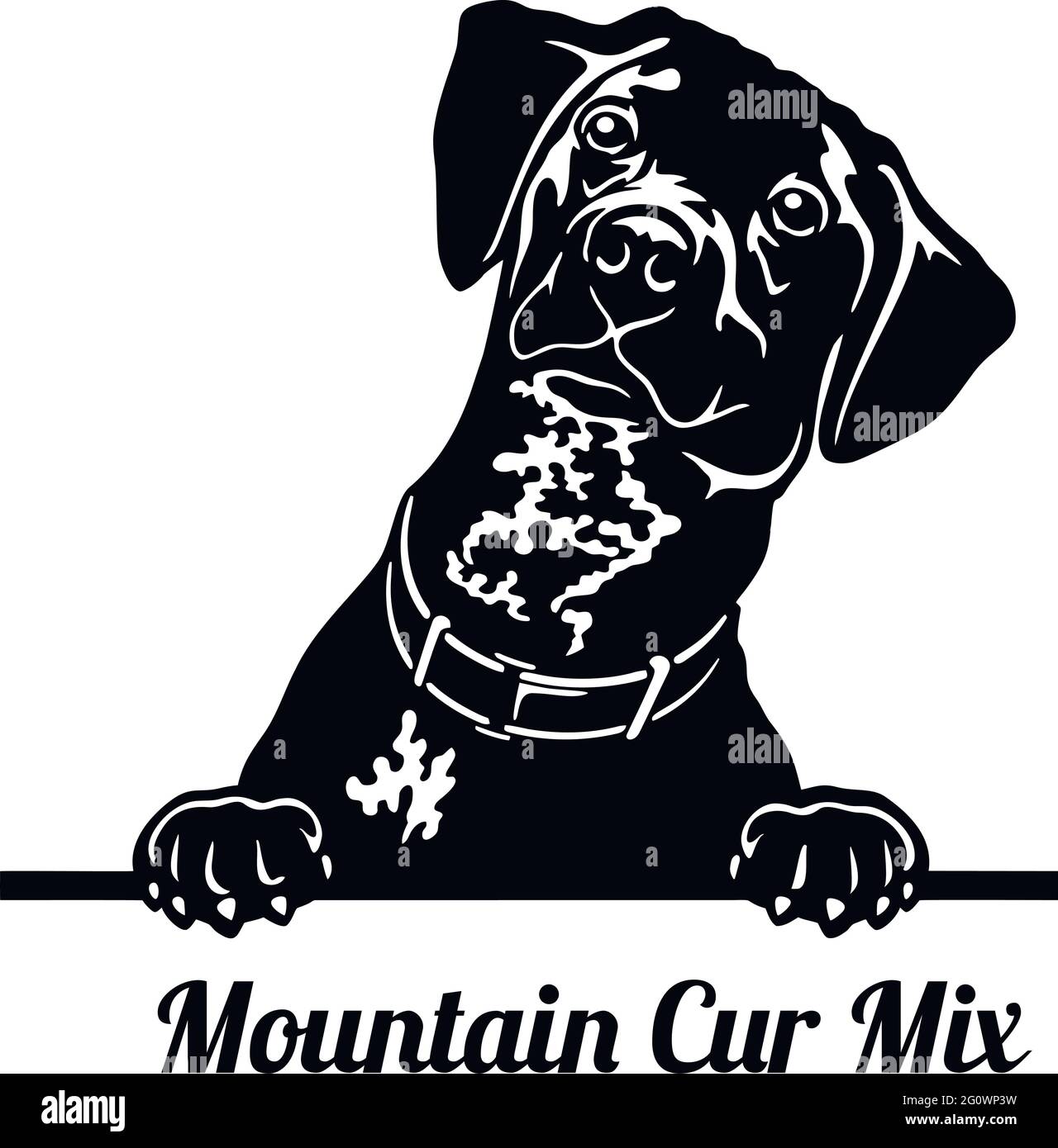 Mountain Cur Mix Peeking Dog - head isolated on white - vector stock ...