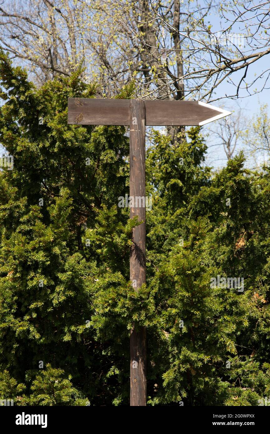 Empty wooden arrow sign in nature. Add text or info Stock Photo - Alamy