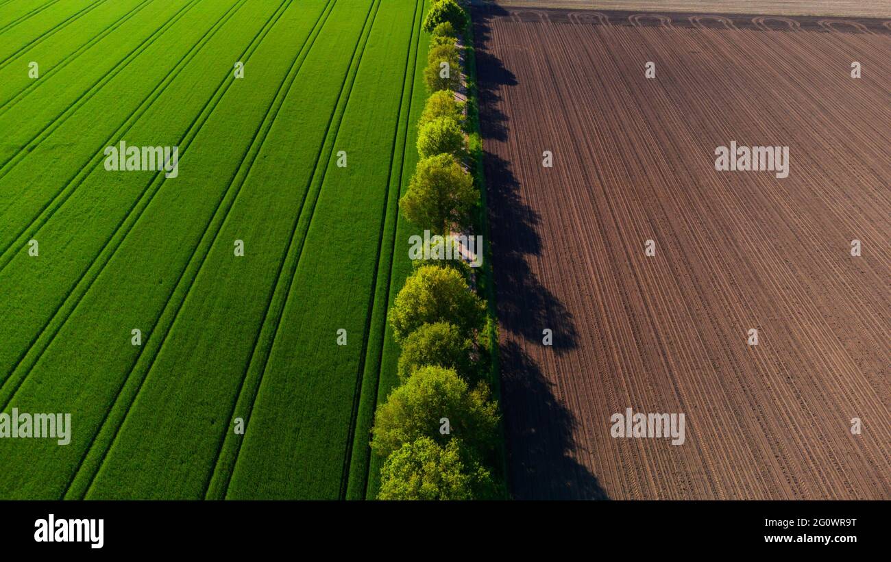 Beautiful early summer landscape with trees and fields. The picture was ...