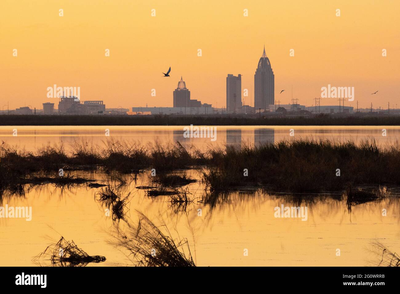Mobile alabama skyscraper hi-res stock photography and images - Alamy
