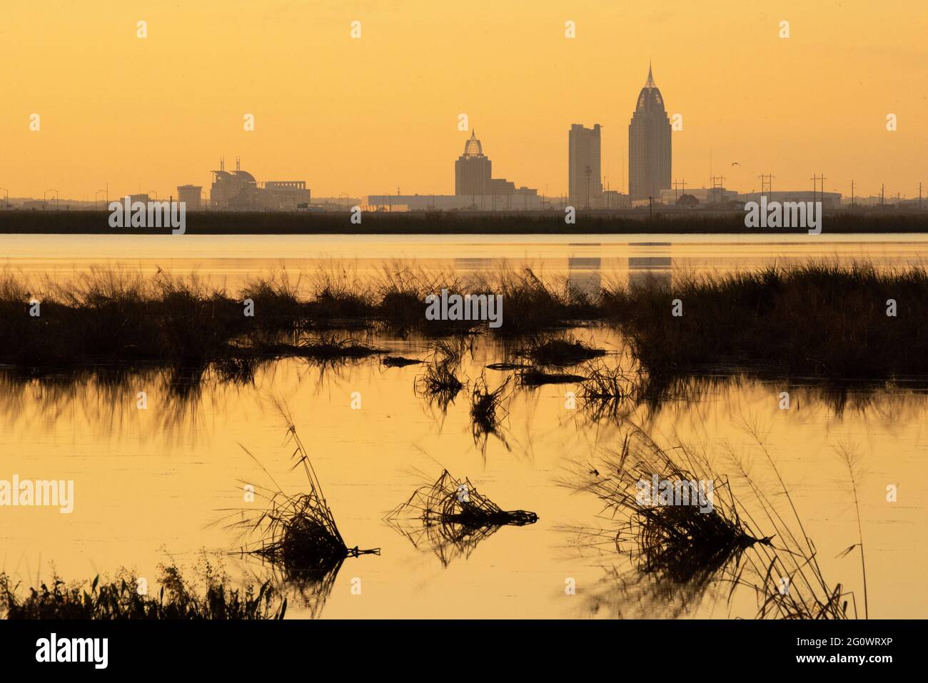 The skyline of Mobile, Alabama, USA, including the RSA Battle House ...