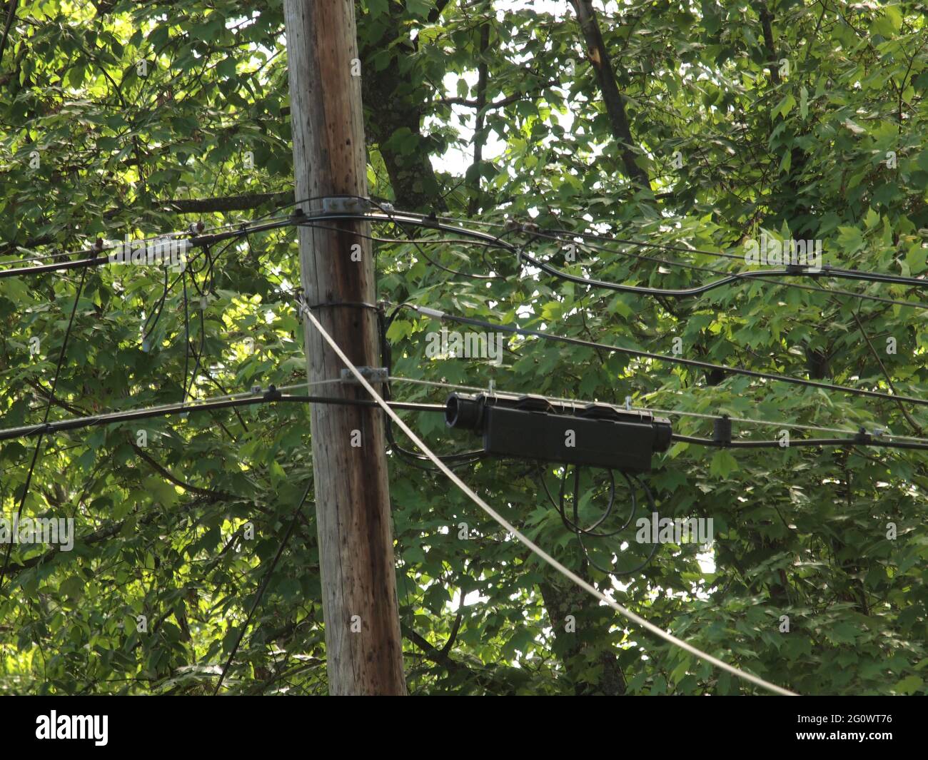 Cable television facilities on a utility pole hi-res stock photography ...