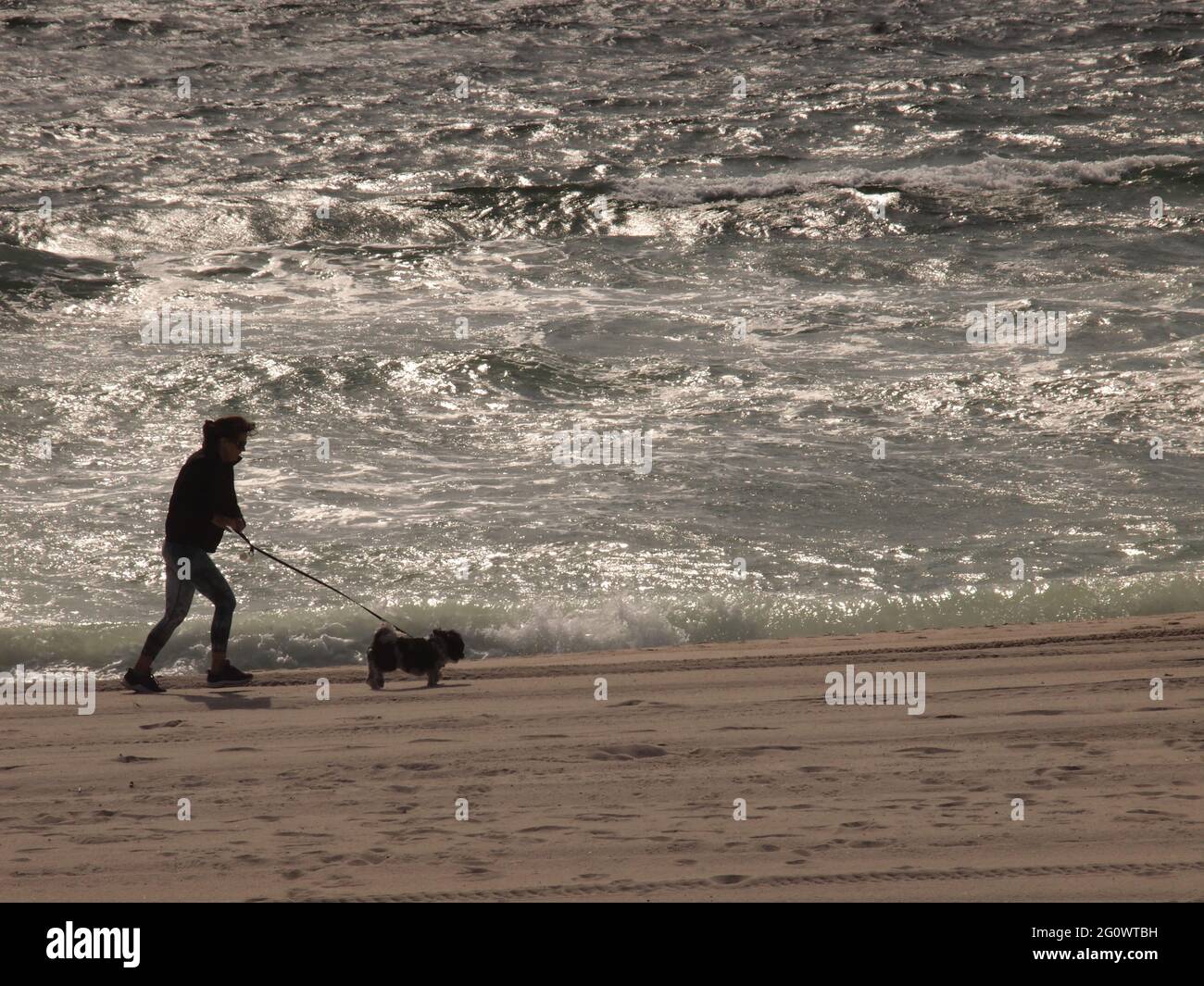 Dog walker silhouetted on the beach in New Jersey during a windy day ...