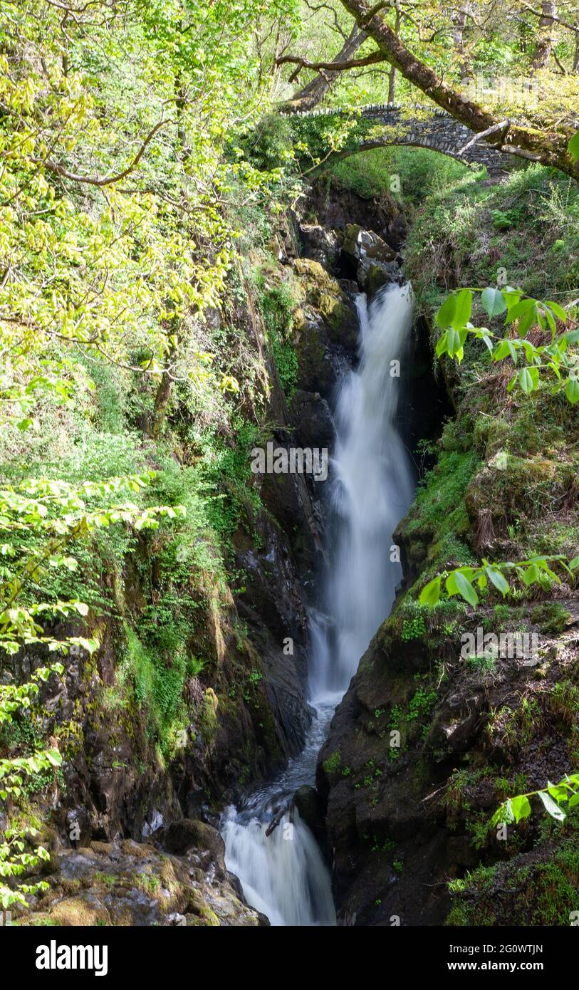 Aira Force waterfall at Ullswater, Lake district UK Stock Photo - Alamy