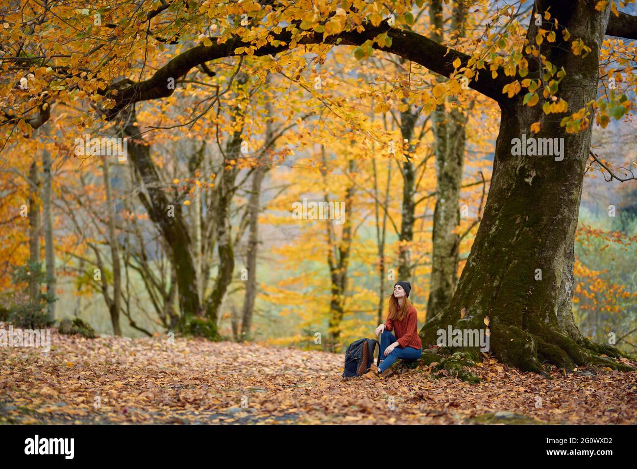 woman in jeans sweater sits under a tree in autumn forest and fallen ...