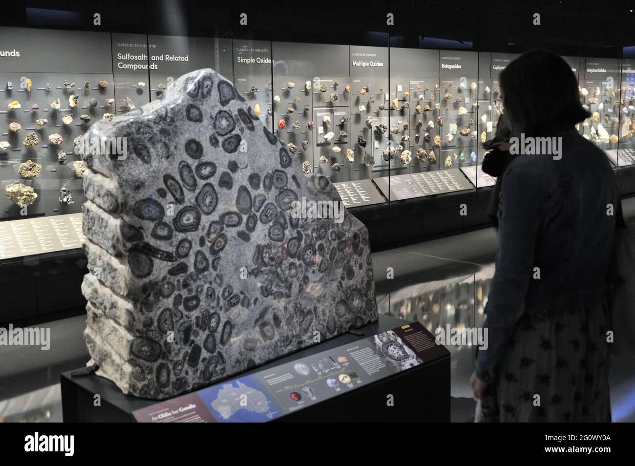 New York, USA. 03rd June, 2021. Opening of the Allison and Roberto ...