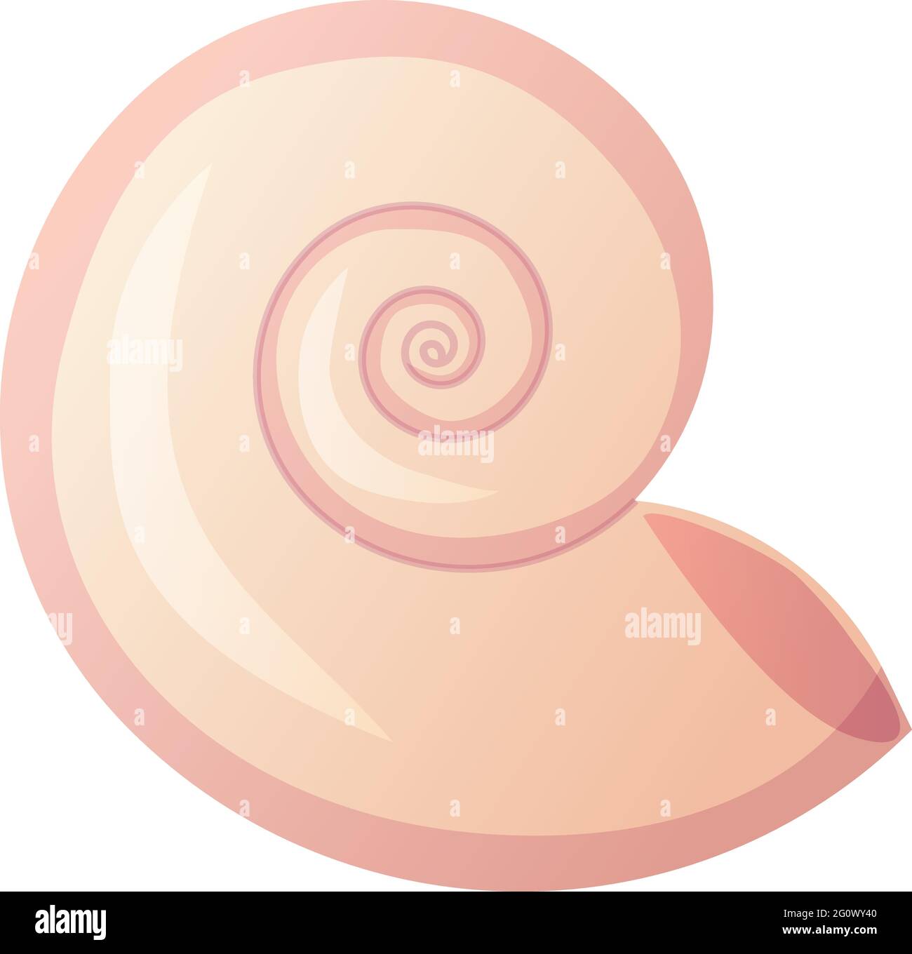 Pink scallop seashell. Beach clipart,ocean element concept. Stock ...