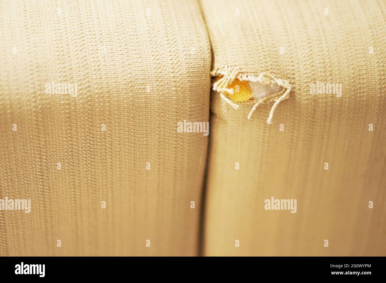 Torn fabric couch hi-res stock photography and images - Alamy