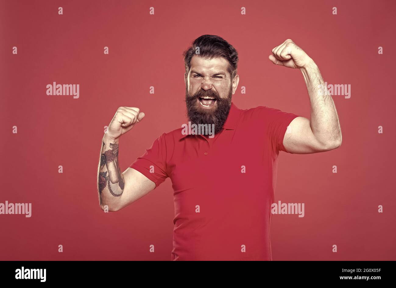 Strength and drive. Bearded man show strength. Strong hipster flex arms ...