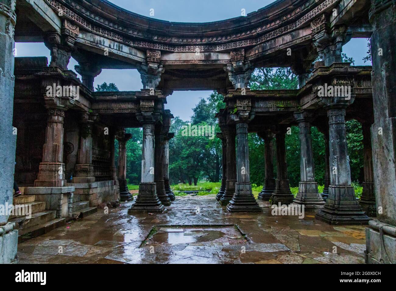 Polo forest temple heritage hi-res stock photography and images - Alamy