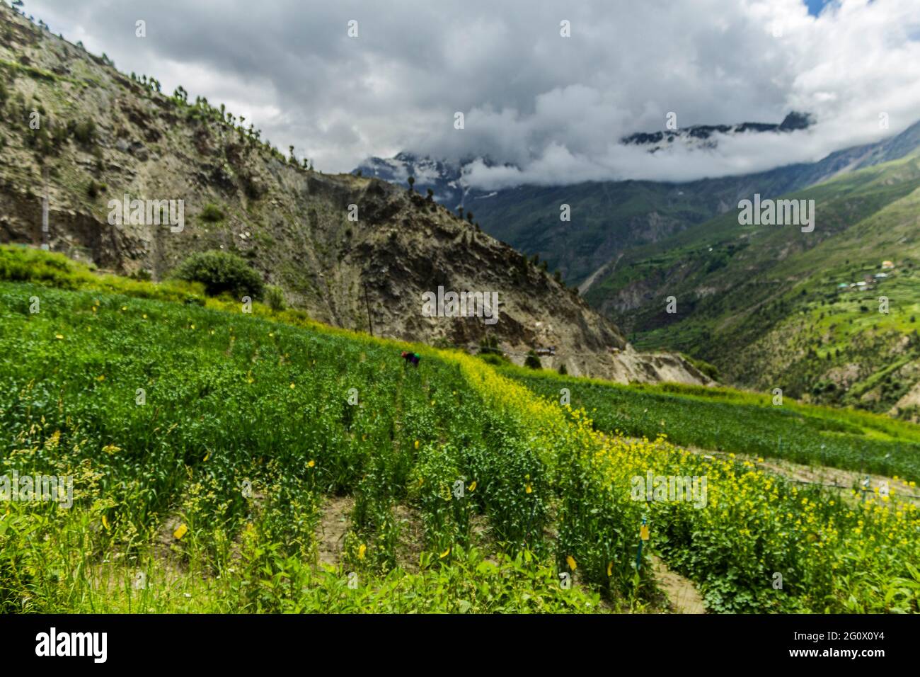 Mountain scenery keylong hi-res stock photography and images - Alamy