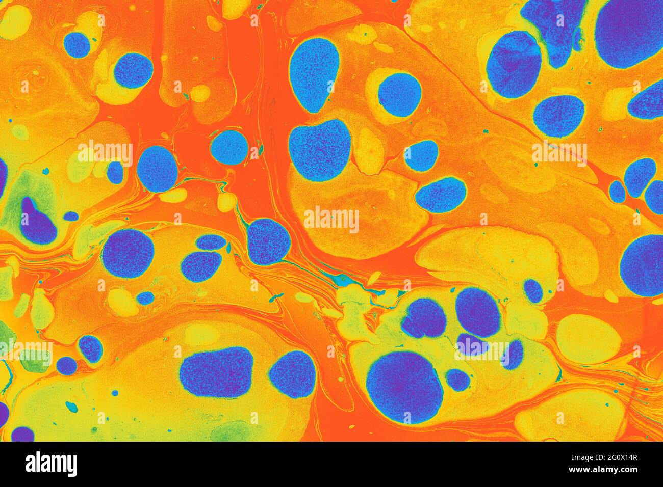 Colorful pattern with blobs for wallpaper and background Stock Photo ...