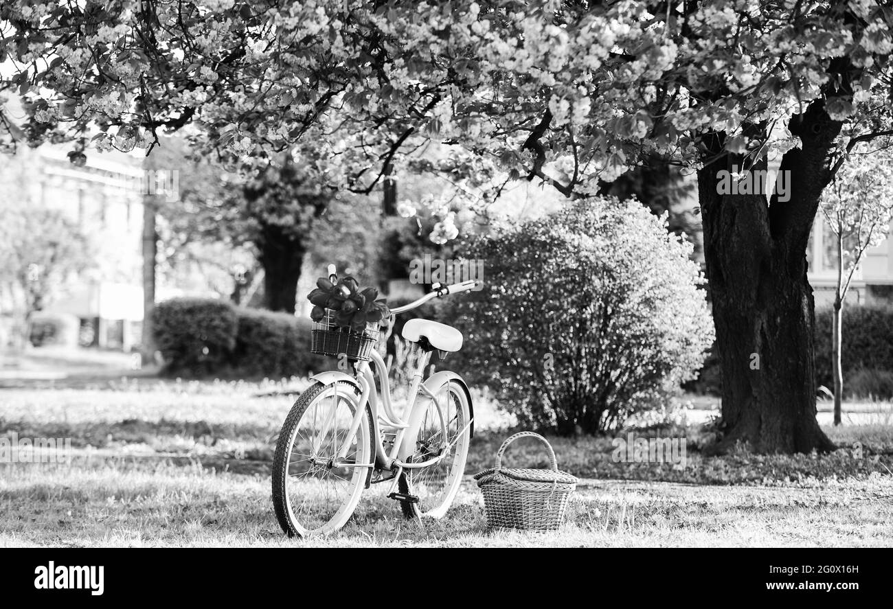 Fancy picnic Black and White Stock Photos & Images - Alamy