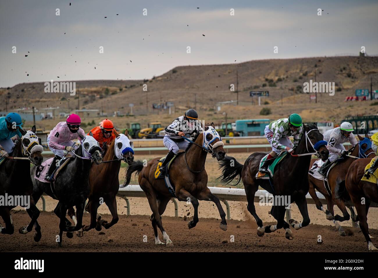 Belmont scandal hi-res stock photography and images - Alamy