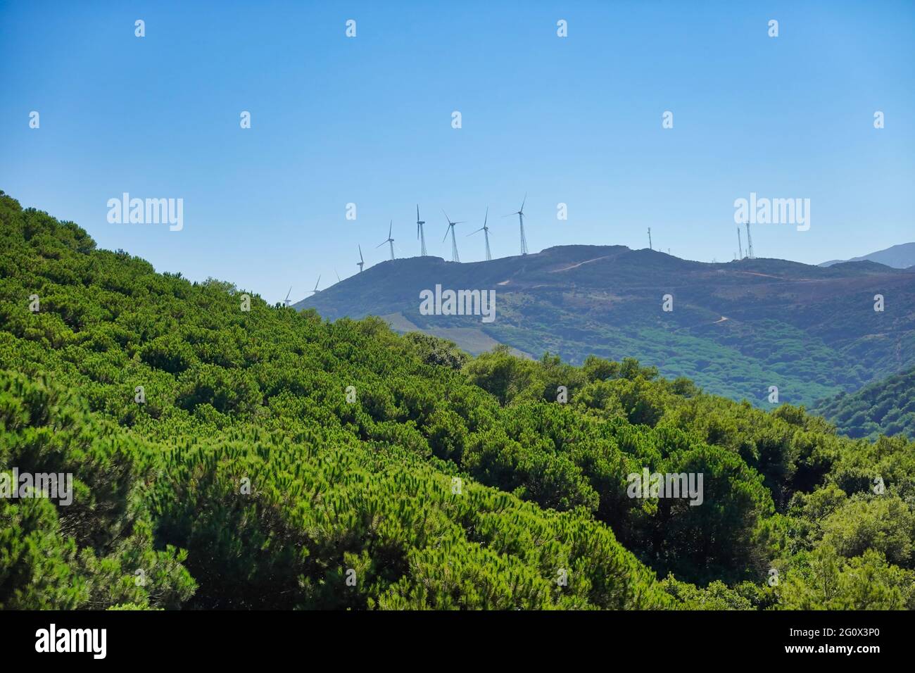 Stunning landscape of high green forest mountains under a blue ...