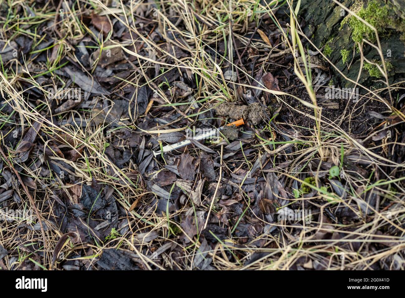 random garbage junk items left in nature trails after tourists Stock ...