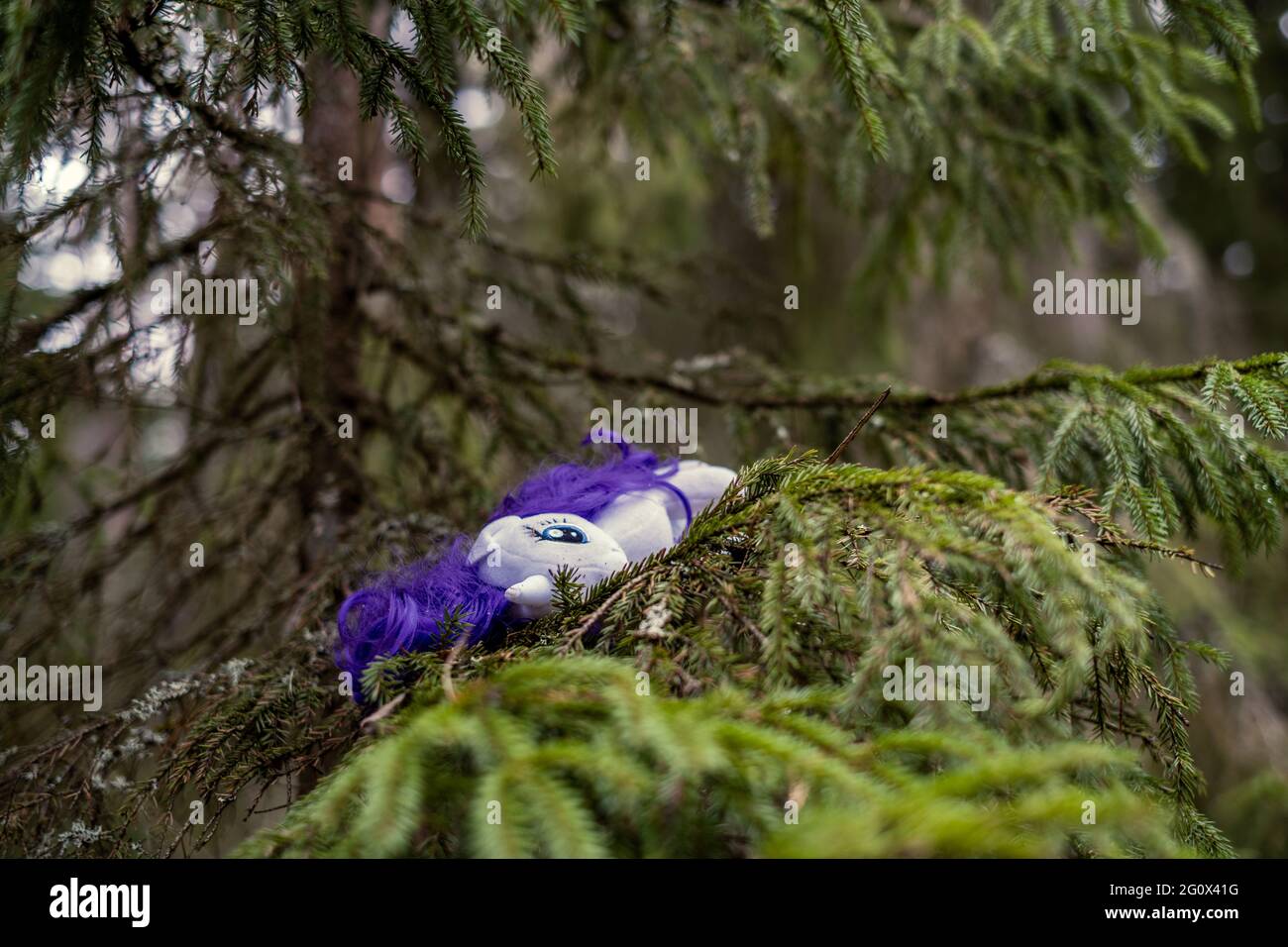 random garbage junk items left in nature trails after tourists Stock ...