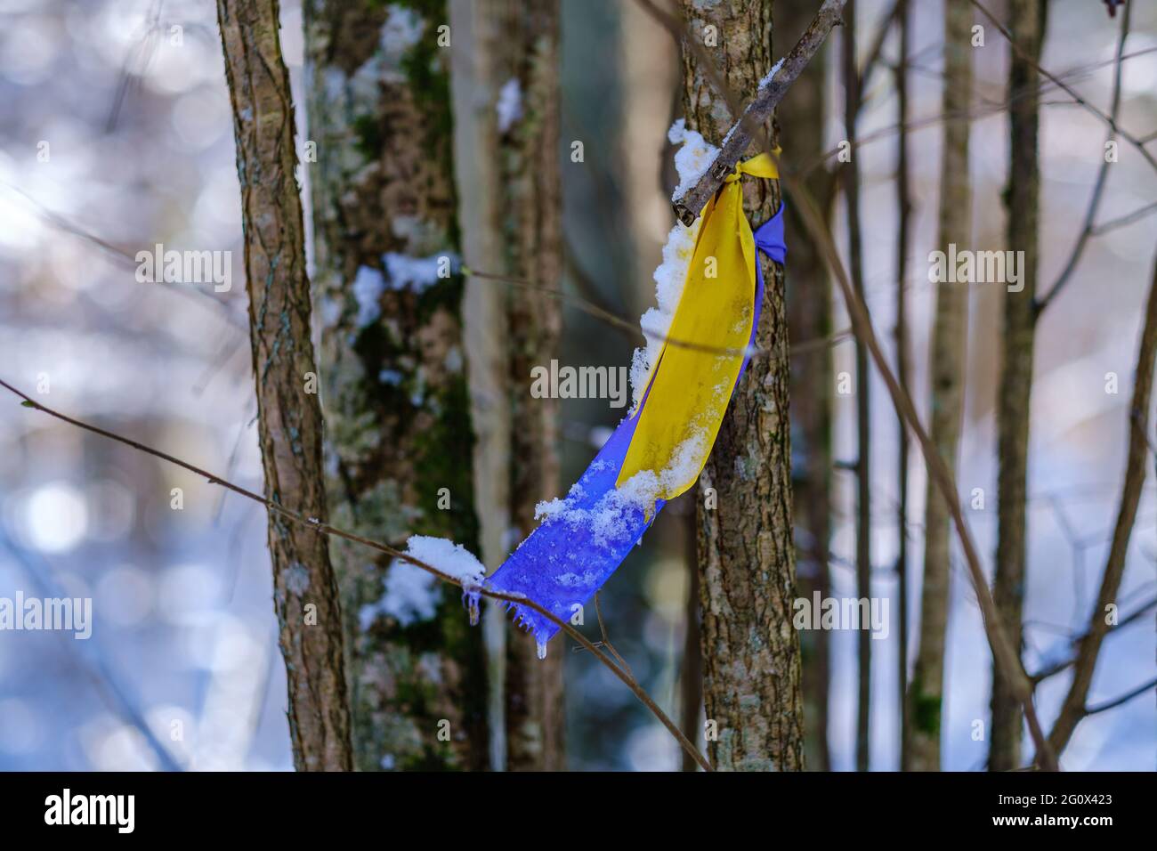 random garbage junk items left in nature trails after tourists Stock ...
