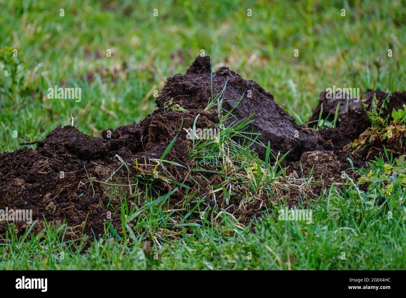 random garbage junk items left in nature trails after tourists Stock ...