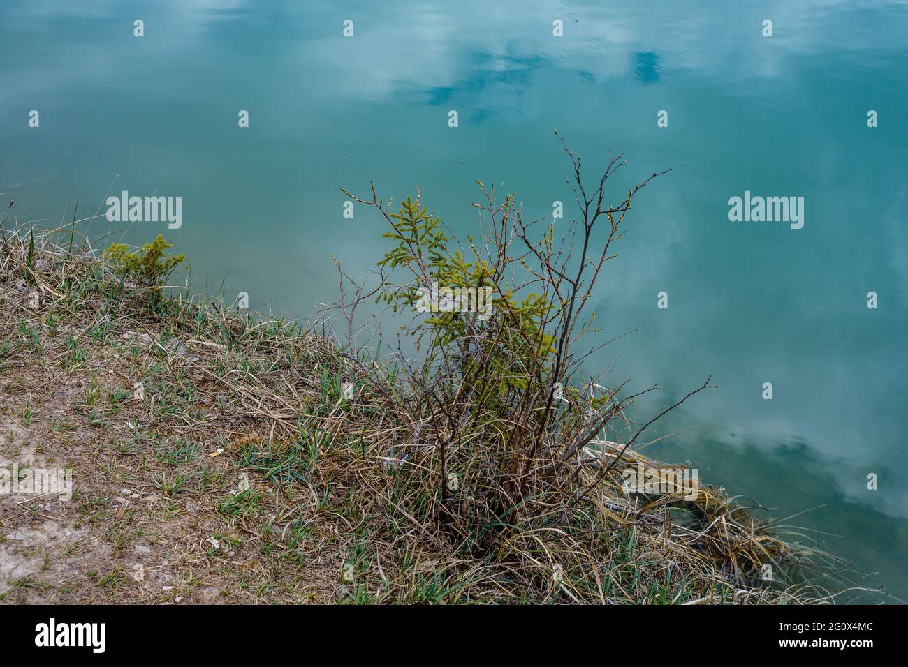 small rural pond with grass and reflections in water in summer Stock ...