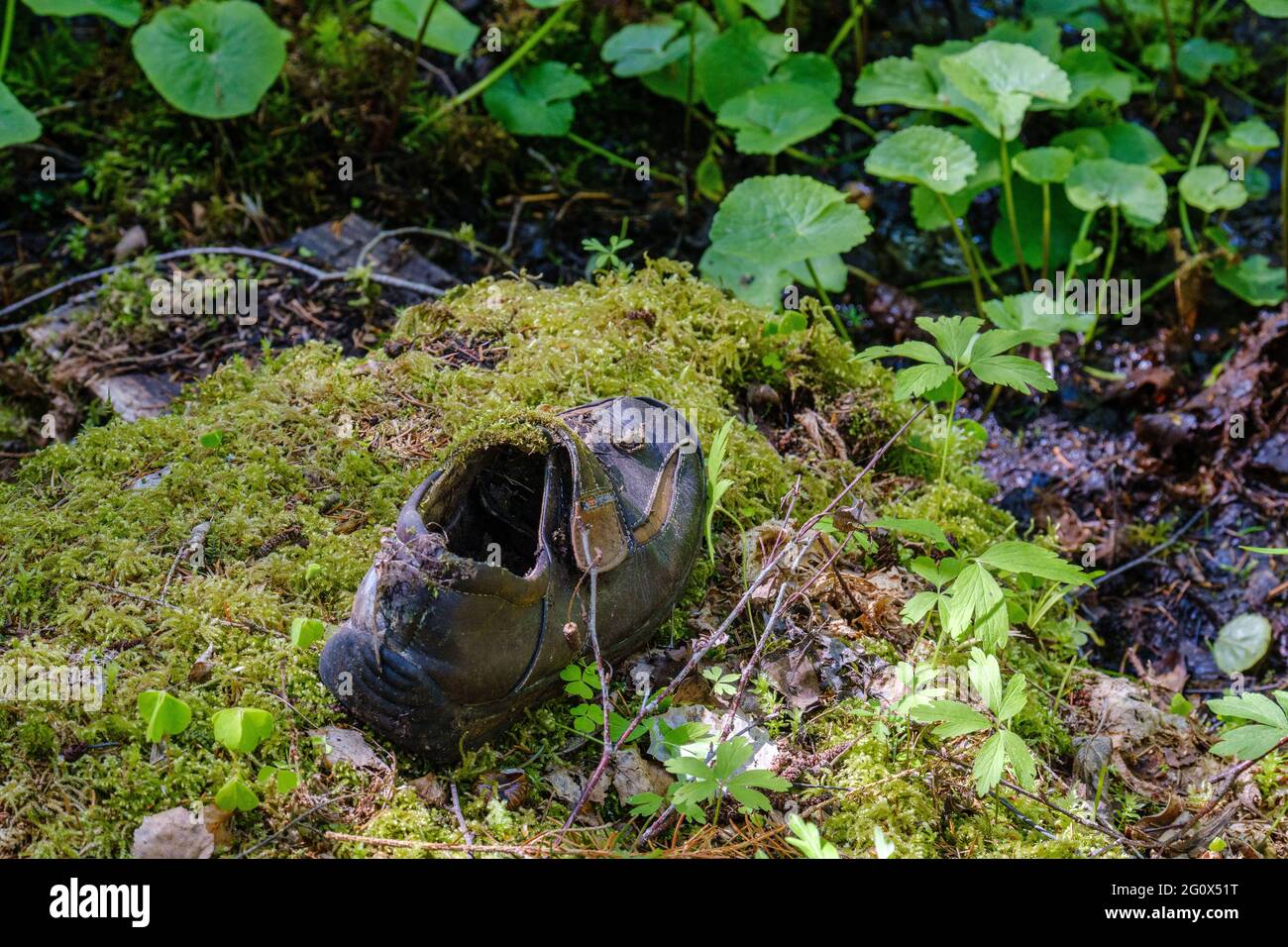 random garbage junk items left in nature trails after tourists Stock ...