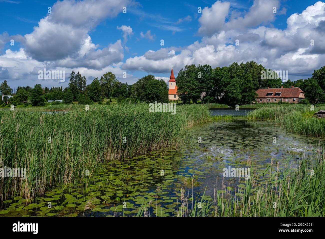 small rural pond with grass and reflections in water in summer Stock ...