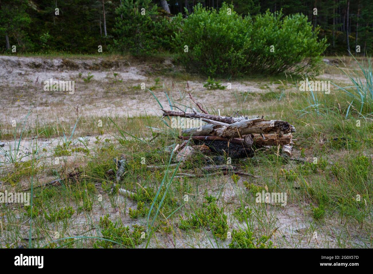 random garbage junk items left in nature trails after tourists Stock ...