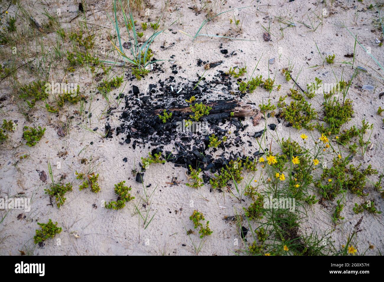 random garbage junk items left in nature trails after tourists Stock ...