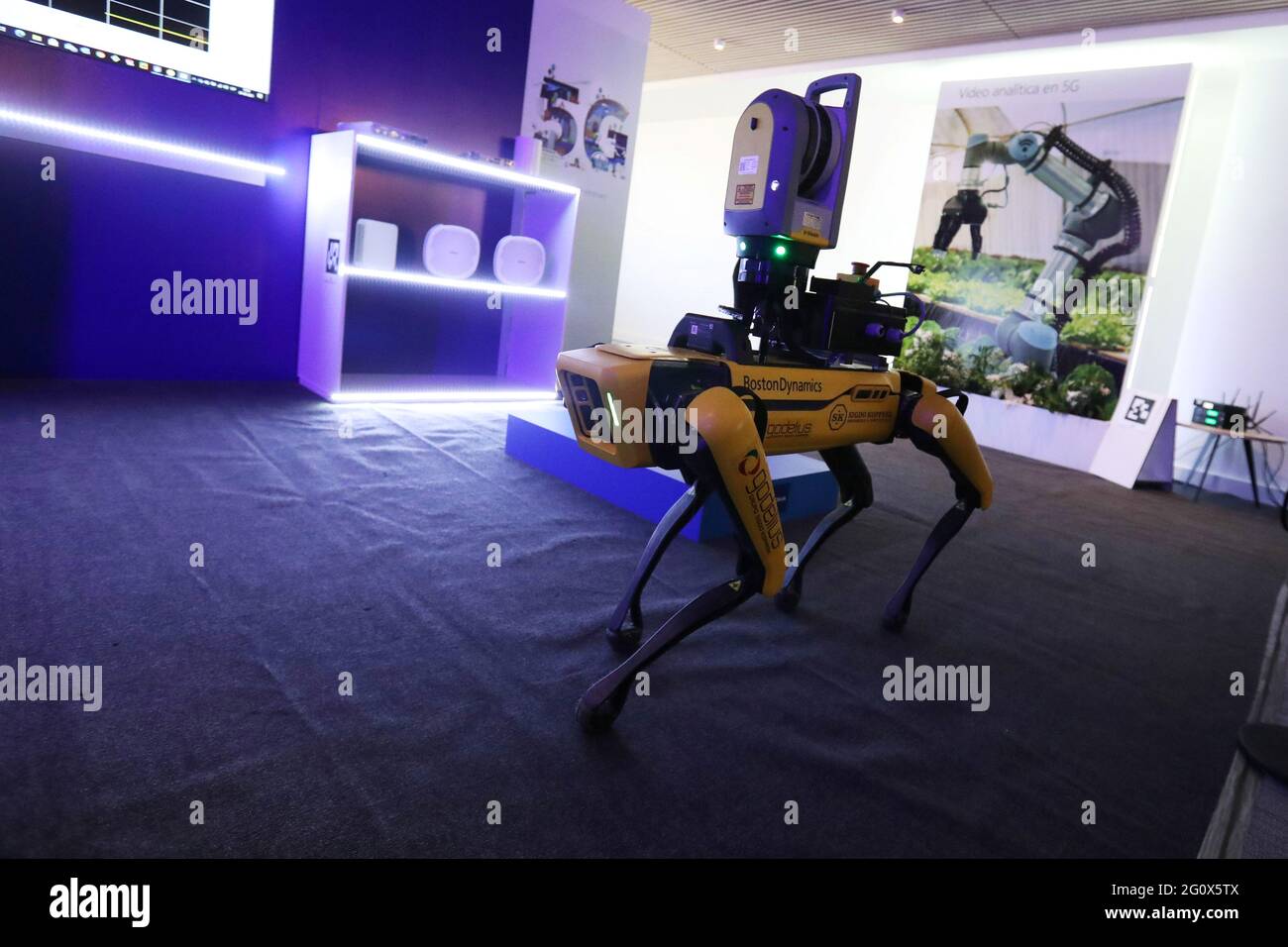 Boston dynamics spot robot hi-res stock photography and images - Alamy