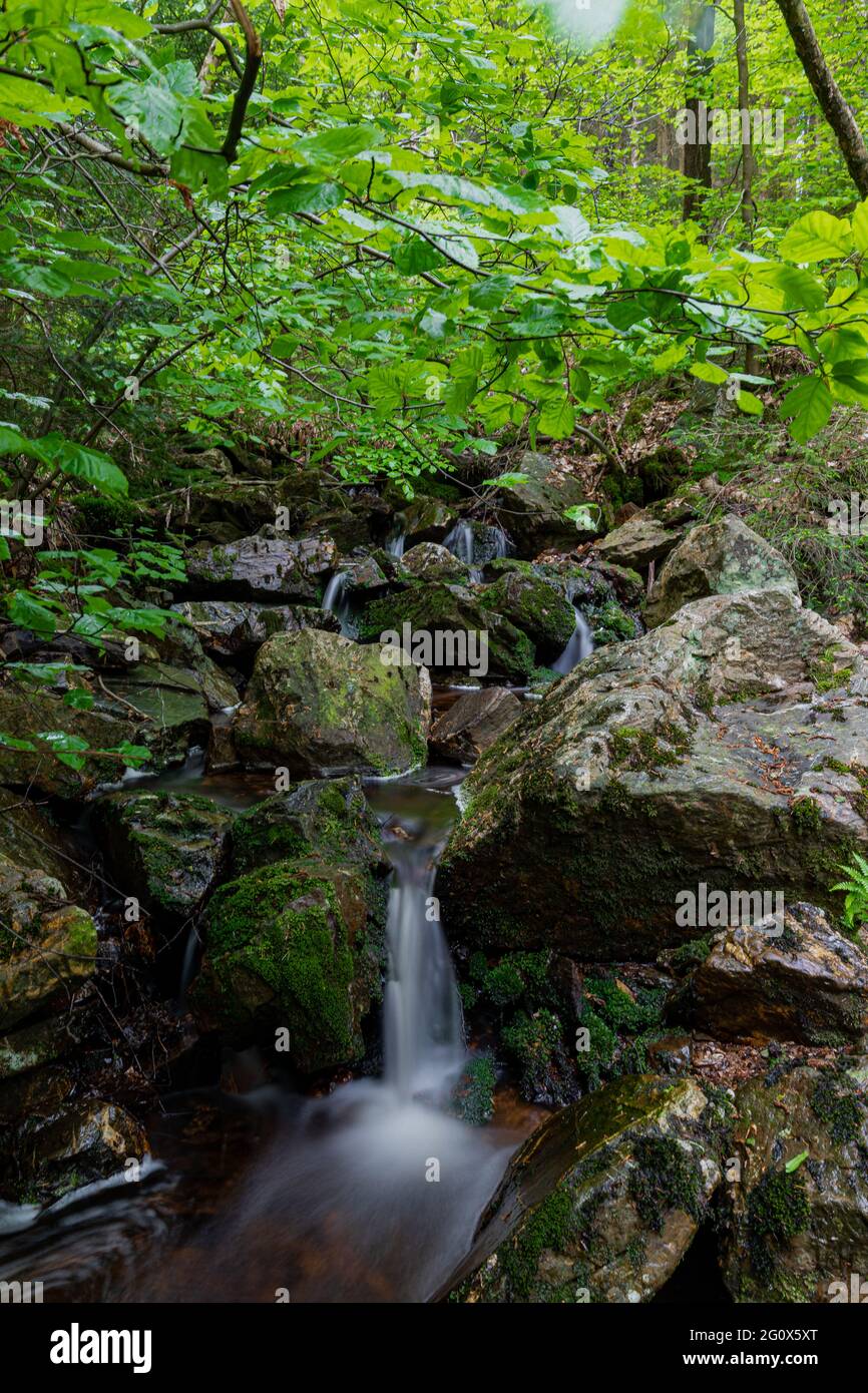 Cascade de nutons hi-res stock photography and images - Alamy