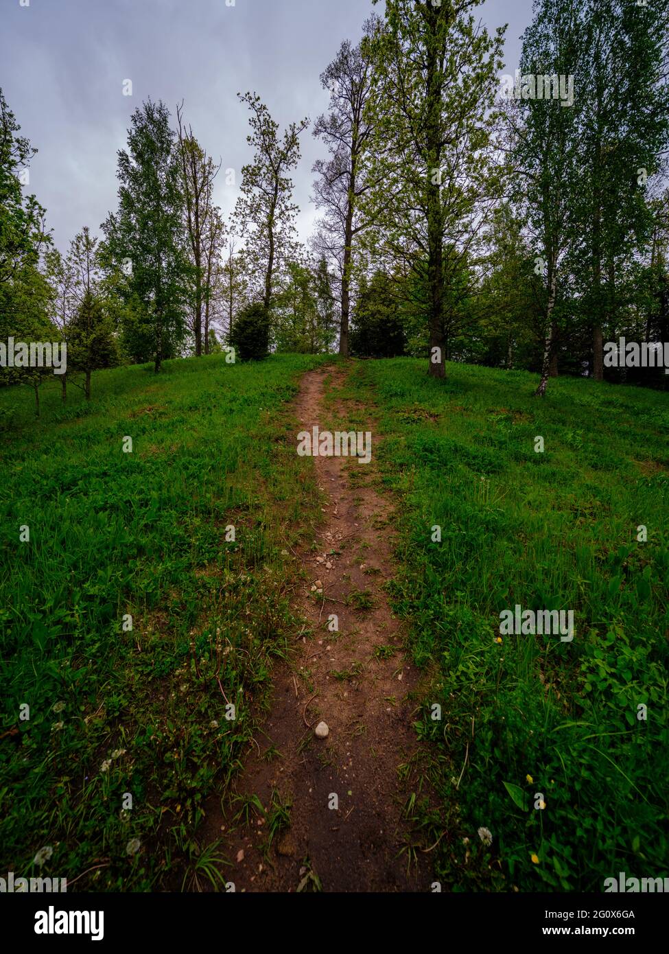 narrow tourist hiking trail in forest. footpath for nature adventures ...