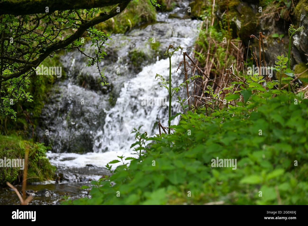 The beautiful Long Mynd including waterfalls, scenery and beauty Stock ...